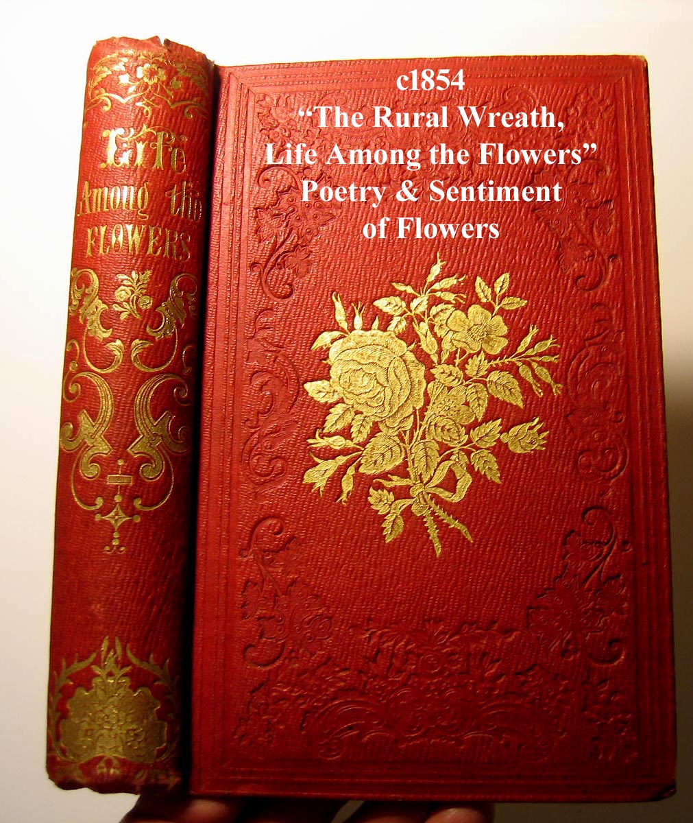 The Rural Wreath Life Among the Flowers | Antique | Book | Victorian ...